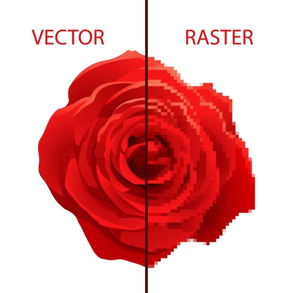 Difference Between Raster And Vector PDF - Simple Tests Difference Between Raster And Vector PDF - Simple Tests